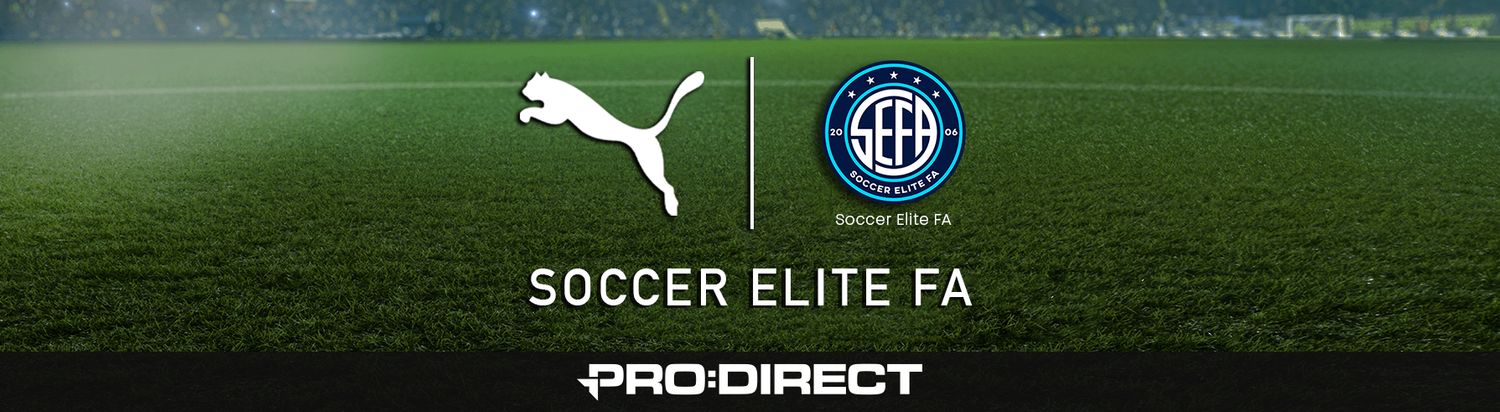 SEFA – DirectHub - Teams Site